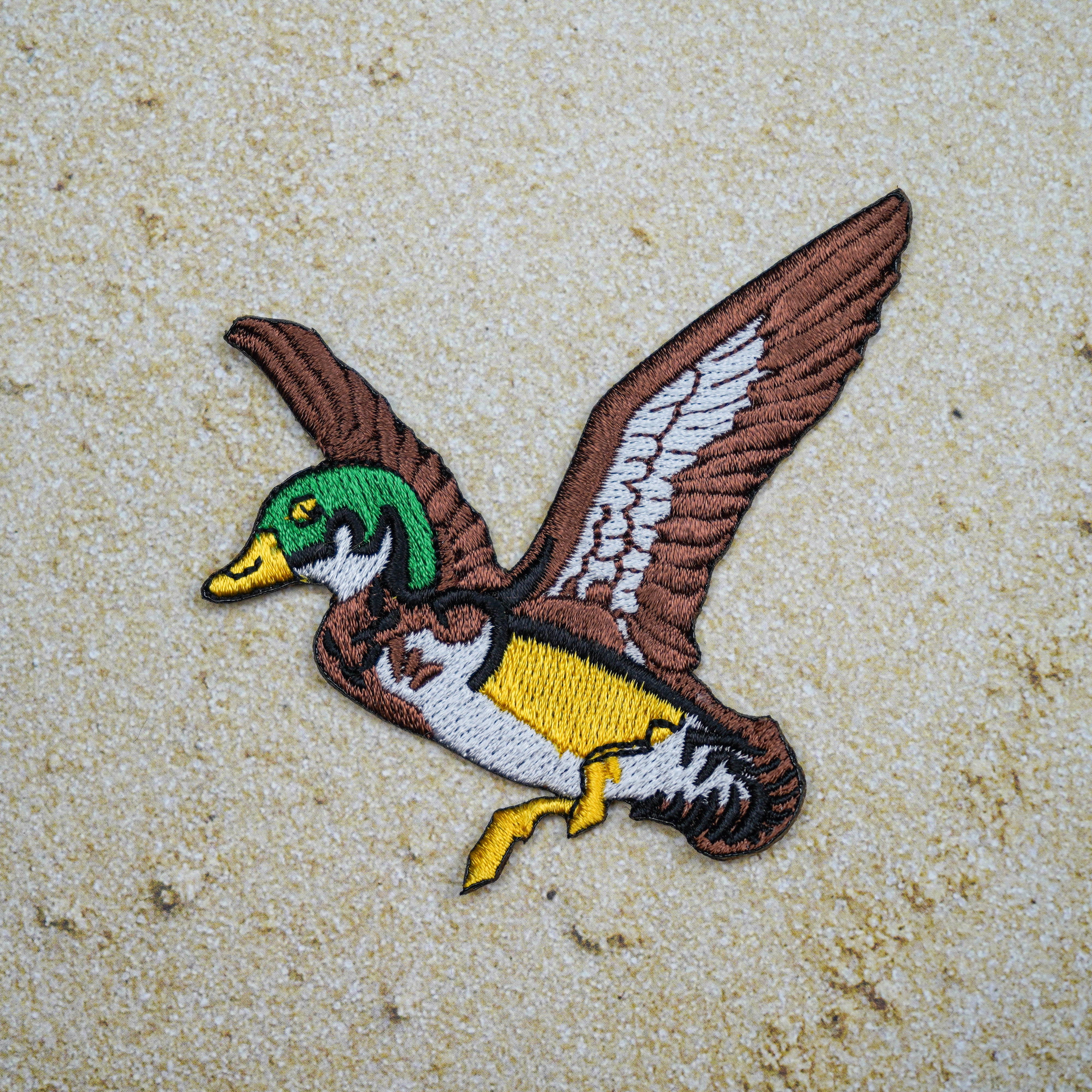 Duck – Salty Bird
